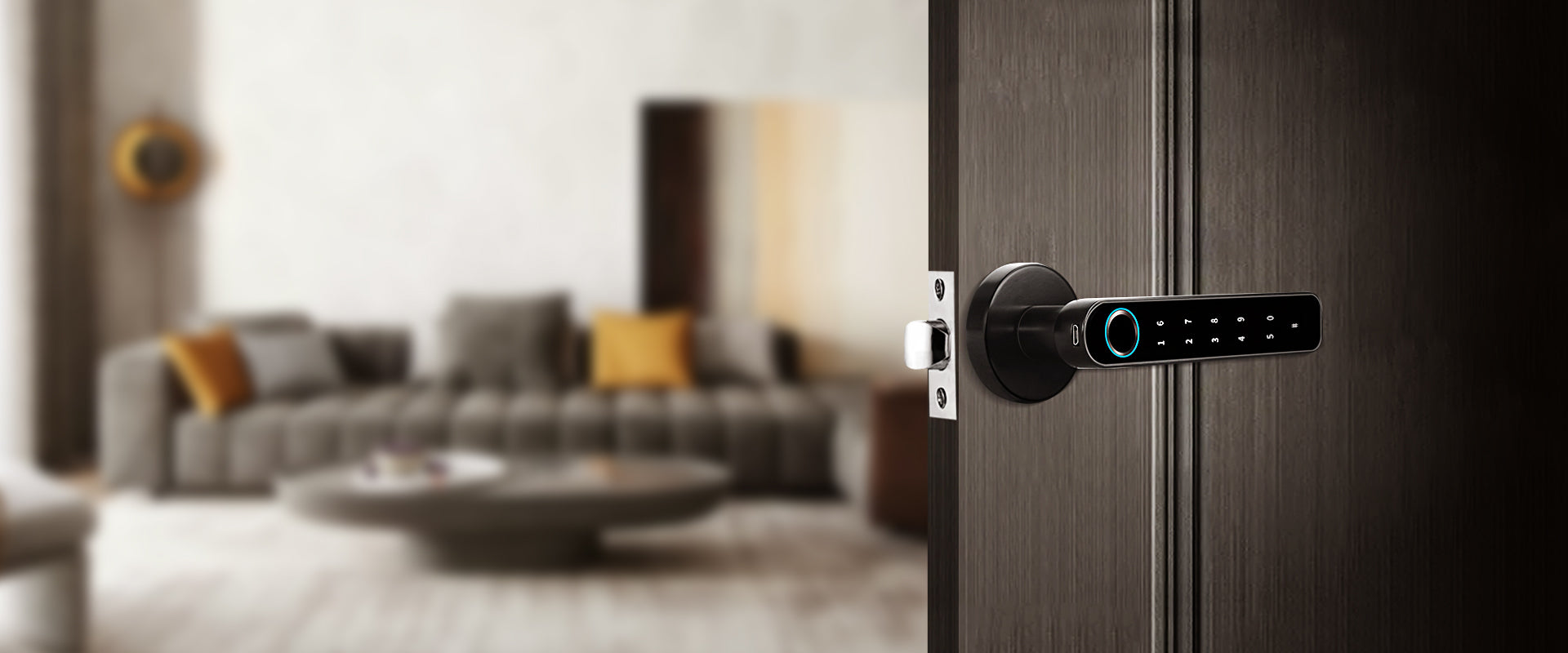 196 Smart Small Lever Lock 5 Unlocking Ways – Pulido Smartlock